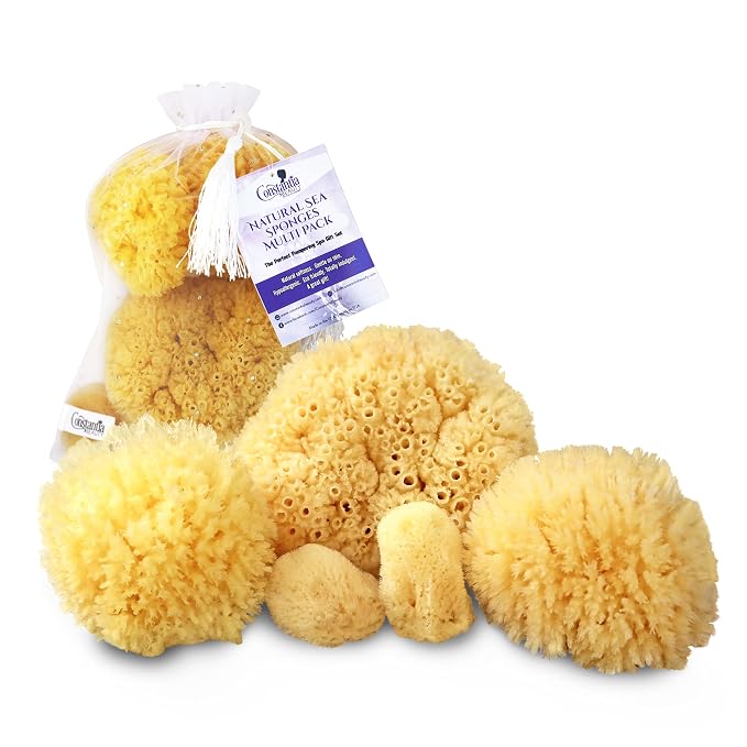 Amazon.com: Real Natural Sea Sponges Multipack - 5pc Spa Gift Set in ...