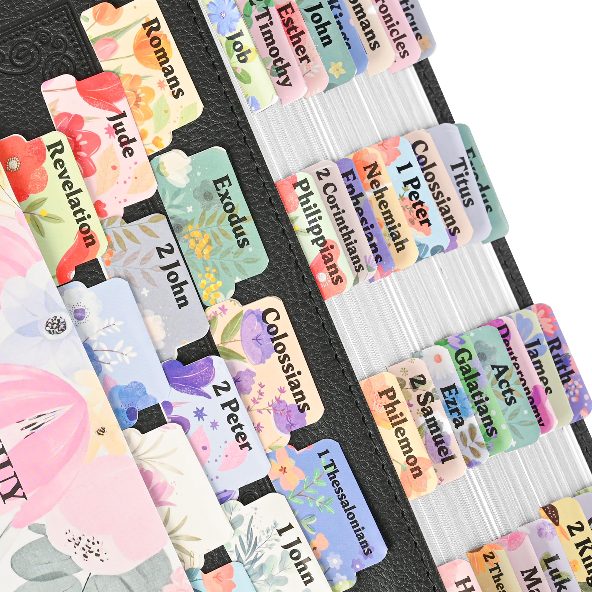Amazon.com : Bible Tabs, 80 Laminated Bible Book Tabs, Bible Journaling ...