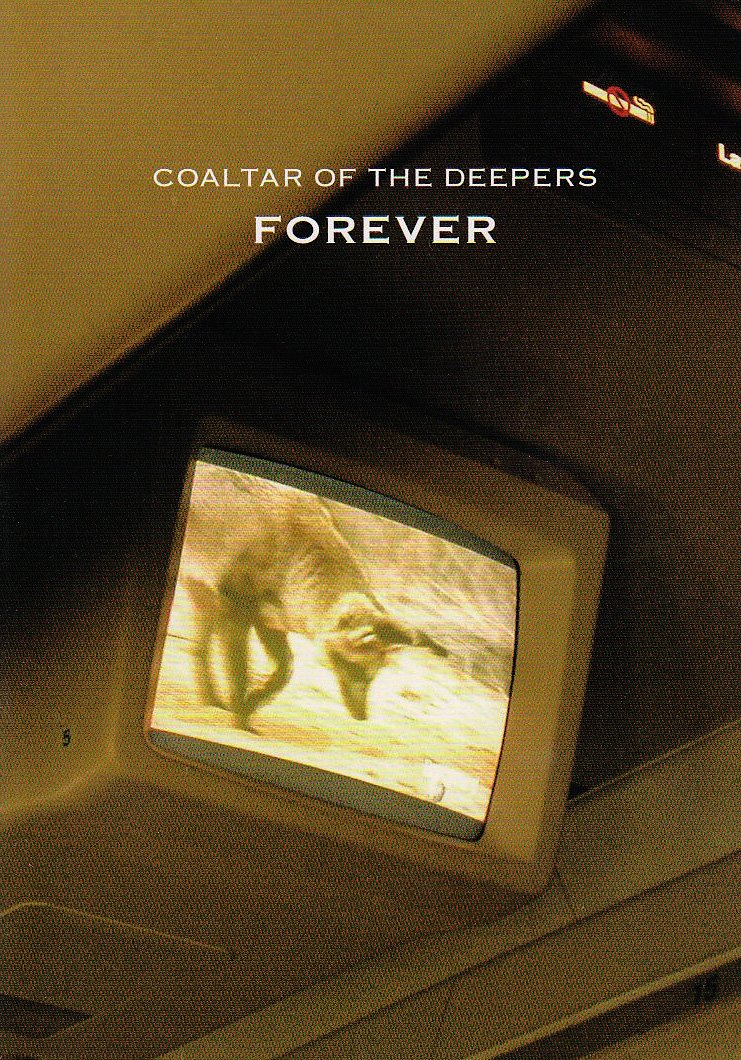 FOREVER [DVD]: Amazon.de: DVD & Blu-ray