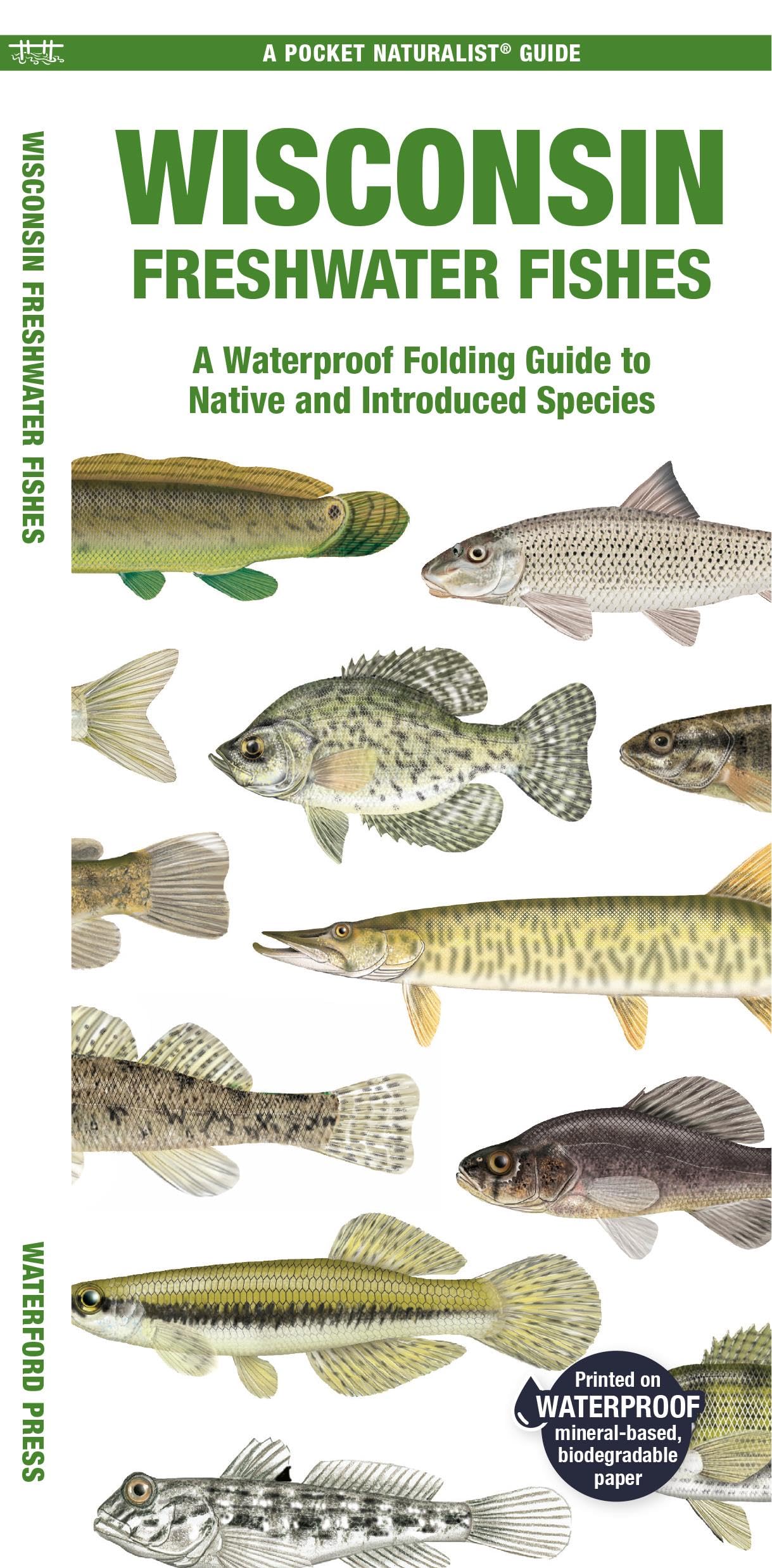 Wisconsin Freshwater Fishes: A Folding Guide to Native and Introduced ...