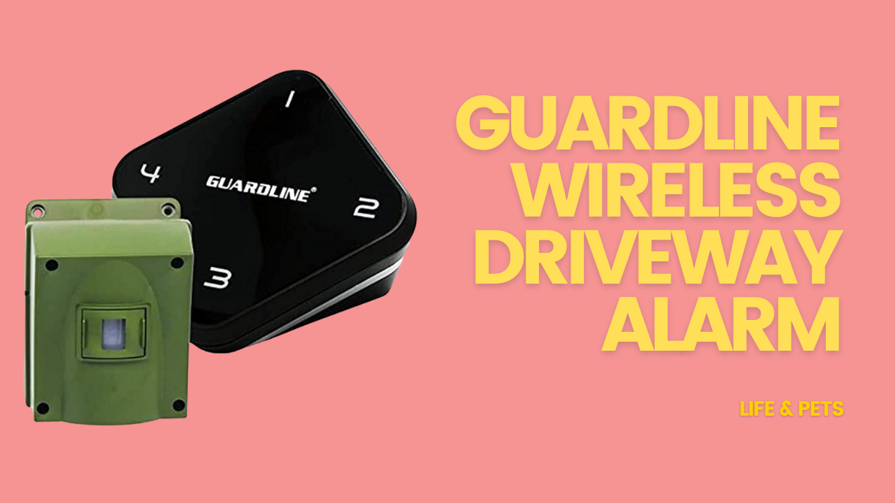 Watch Guardline Wireless Driveway Alarm on Amazon Live