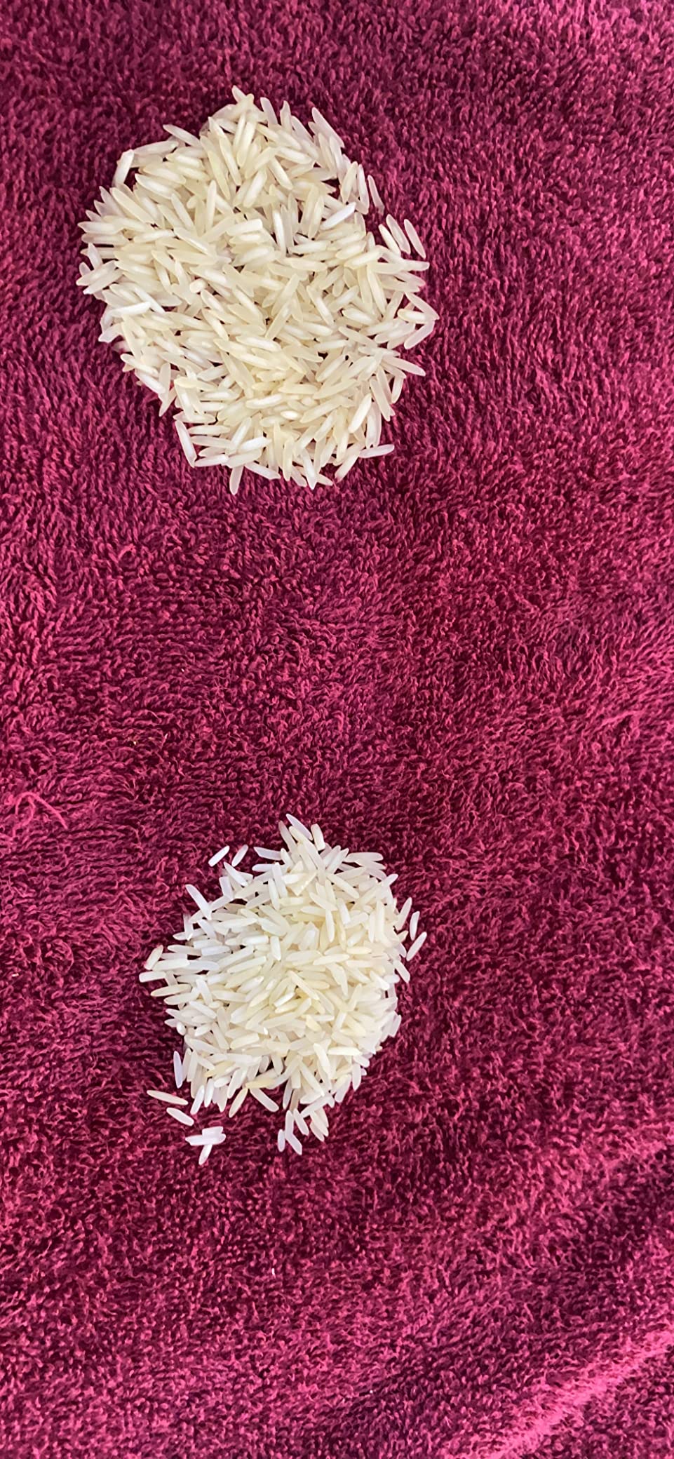 India Gate Basmati Rice Daily Premium 5 kg : Amazon.in: Grocery ...