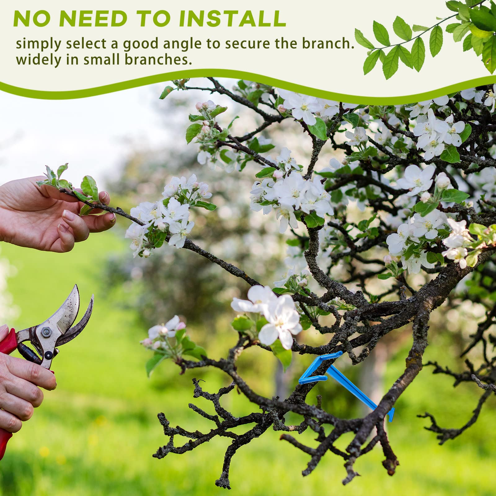 Snapklik.com : 100 Pcs 3.5 X 1.6 Inch Branch Limb Spreader Blue Plastic ...