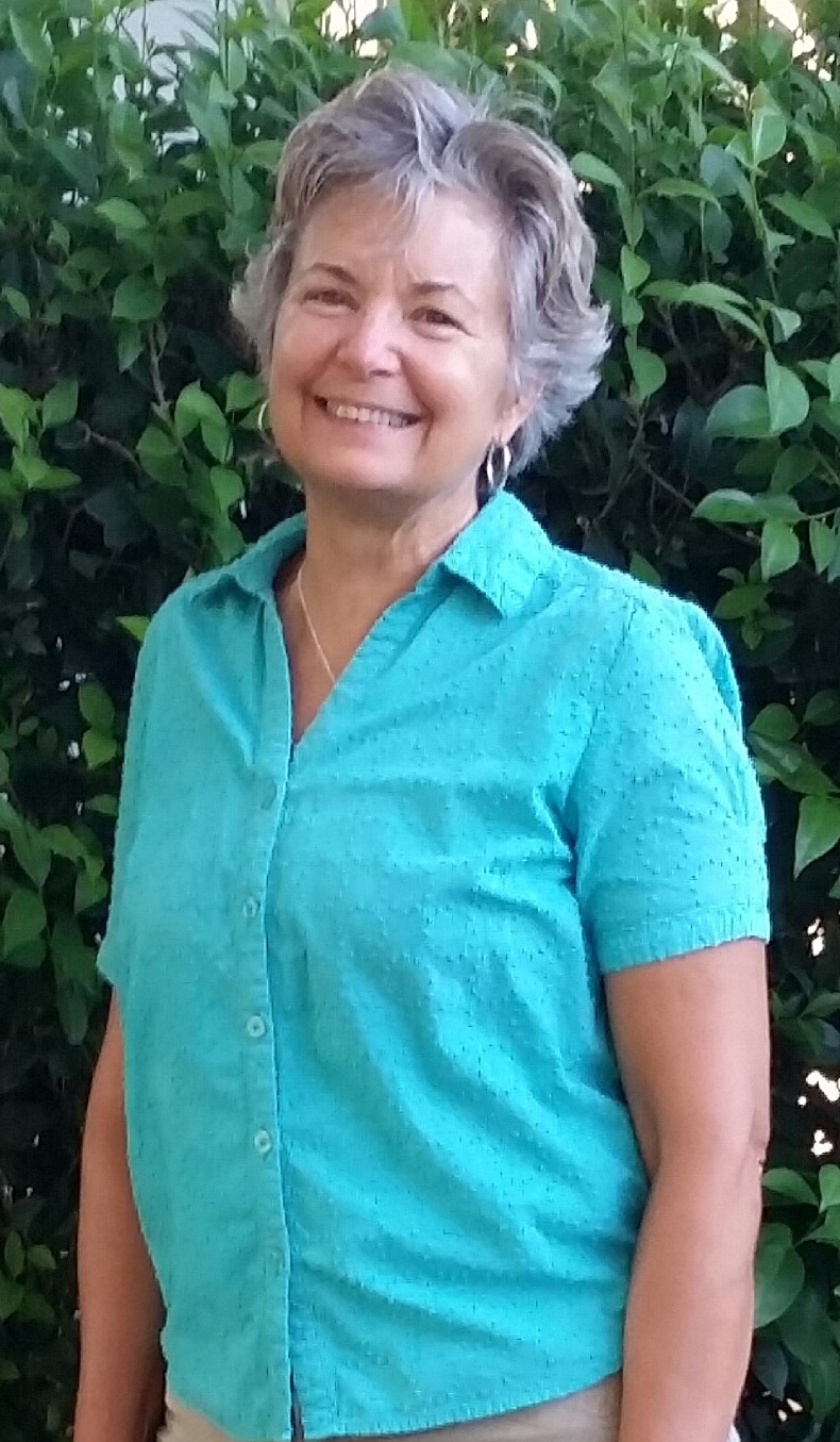 Amazon.com: Lisa Overton: books, biography, latest update