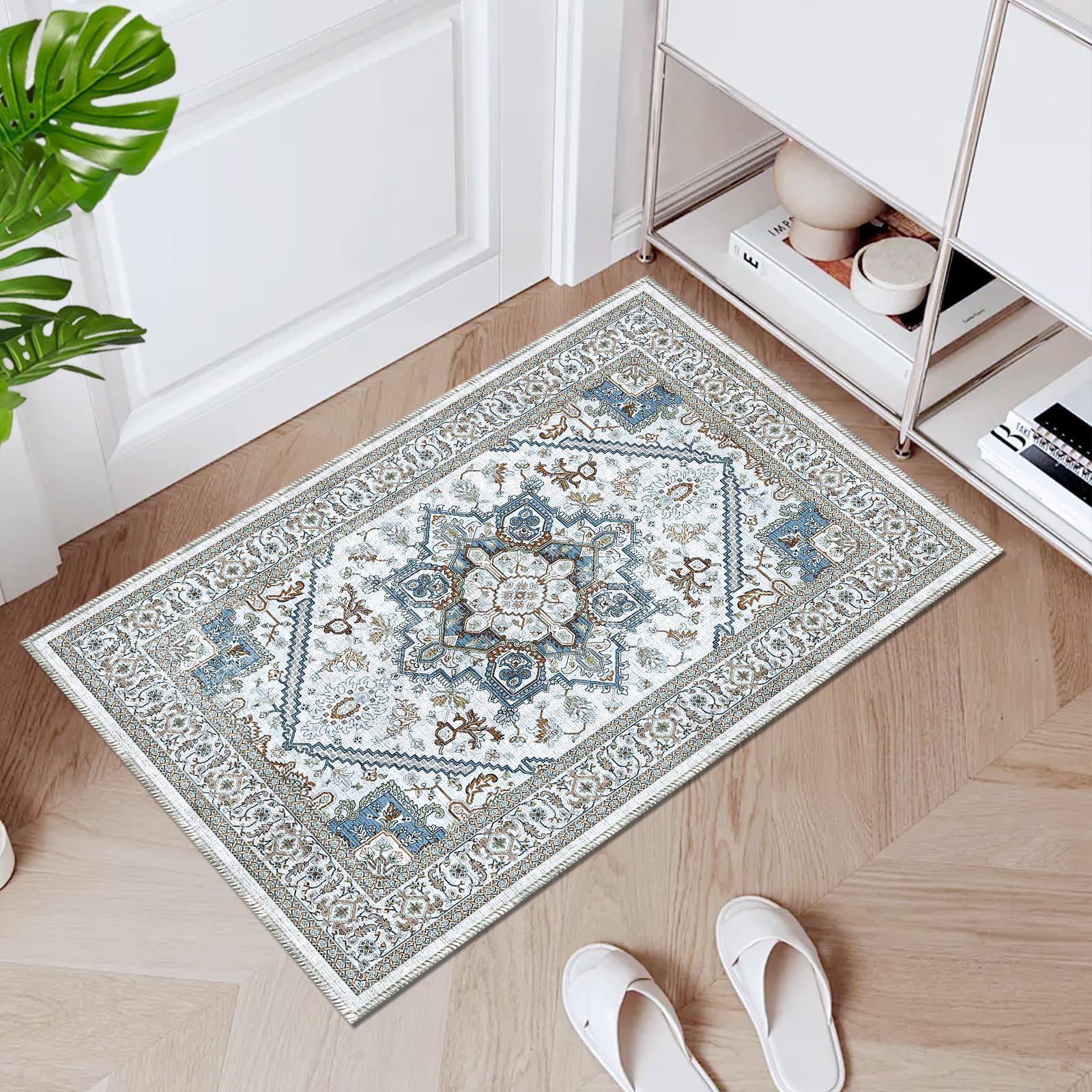 Amazon.com: ROCYJULIN 2x3 entryway Rug, Washable Throw Rugs for Bedroom ...