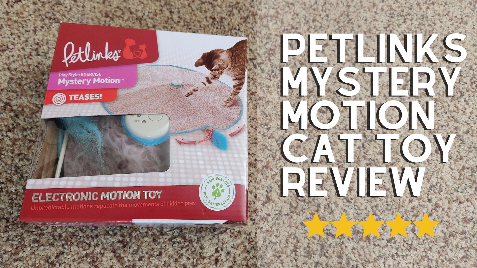 Watch Petlinks Mystery Motion Concealed Cat Toy Review on Amazon Live
