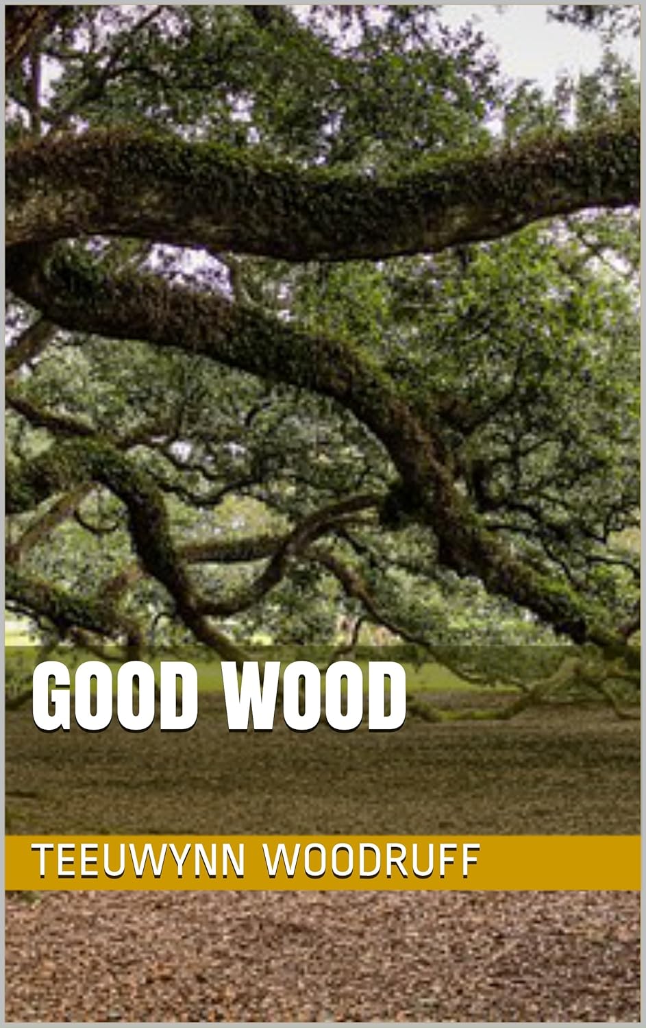 Amazon.com: Good Wood eBook : Woodruff, Teeuwynn: Kindle Store