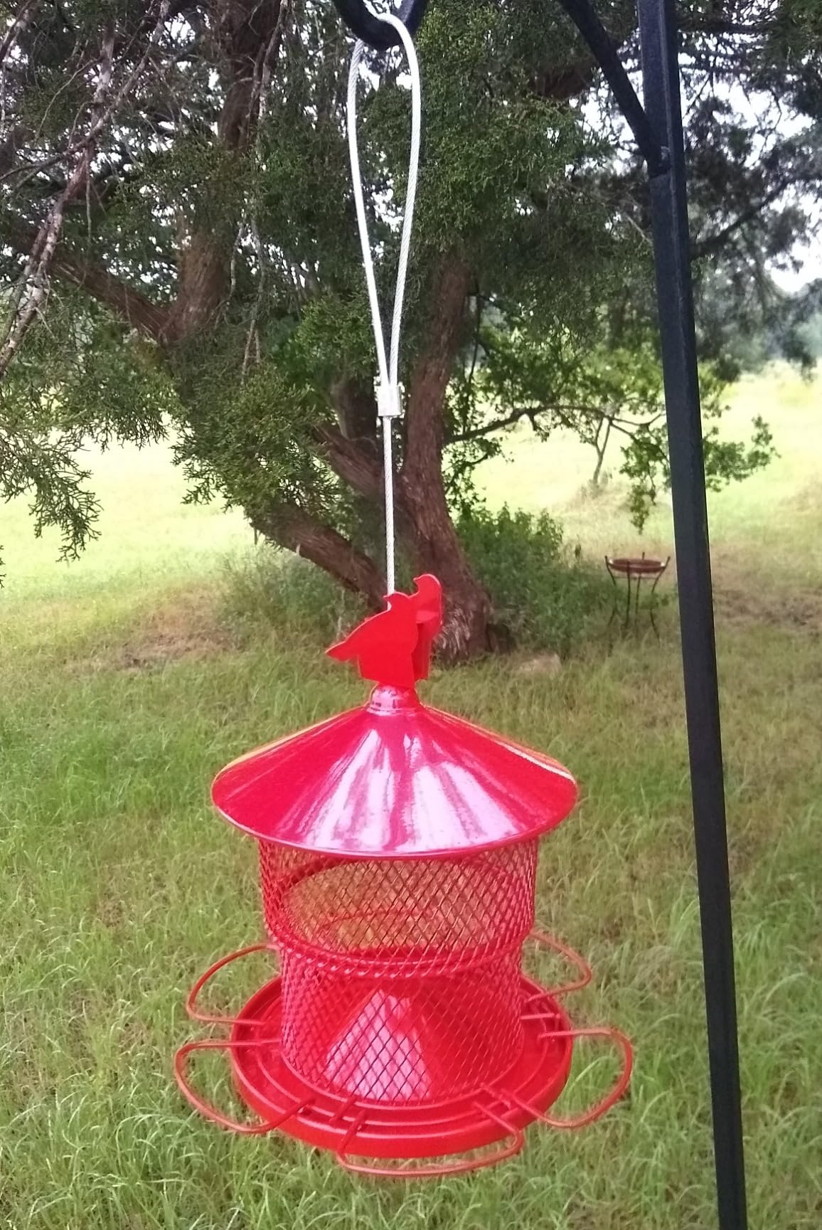 Amazon.com : Pitoutfir Bird Feeders for Outdoors, Wild Bird Feeders ...