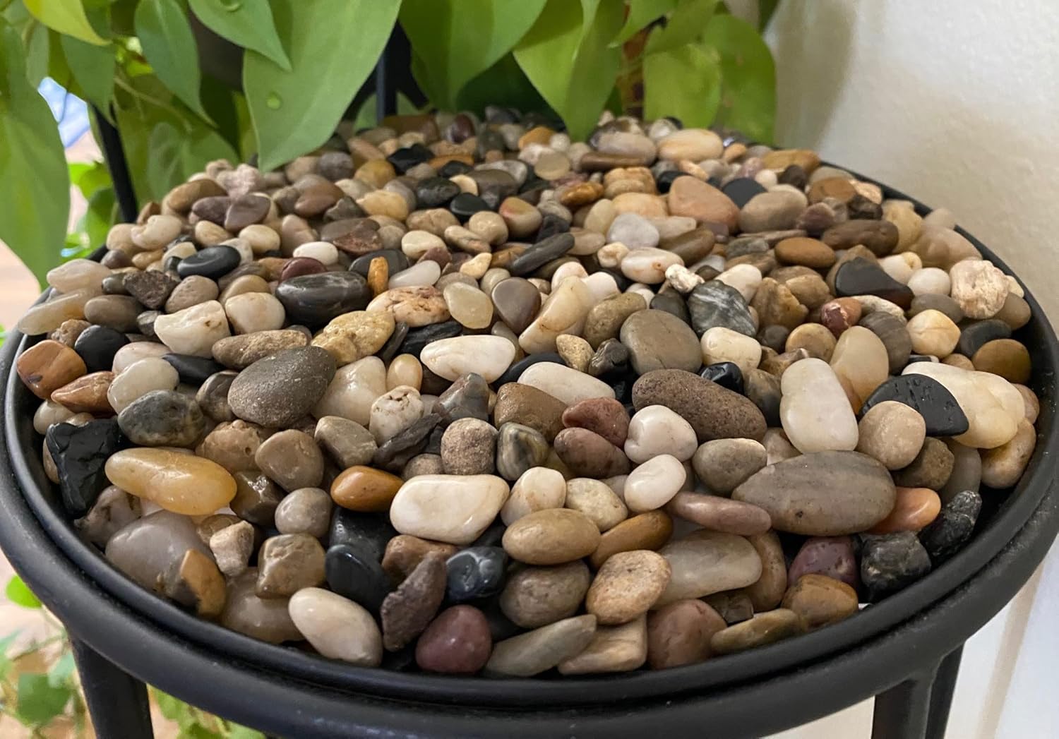 Piedras para plantas. Piedras pulidas decorativas de colores mixtos. 38 ...