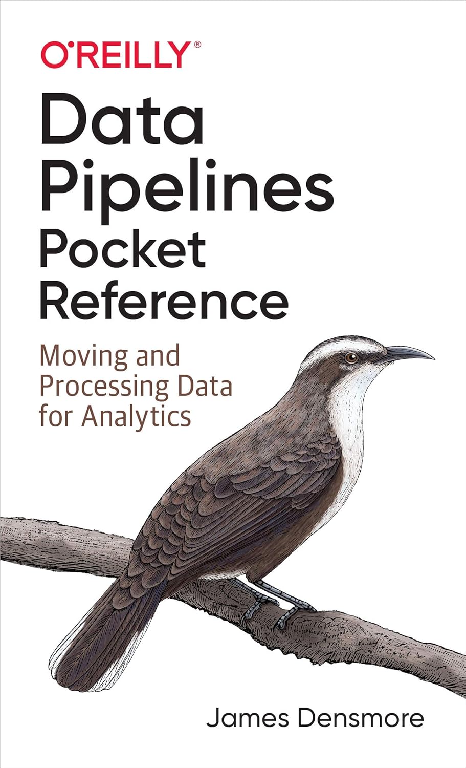 Data Pipelines Pocket Reference: Moving and Processing Data for Analytics : Densmore, James ...
