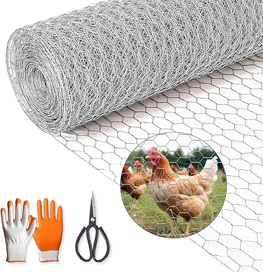 Amazon.com : Chicken Wire,16"×50FT Chicken Wire Fencing for Garden ...