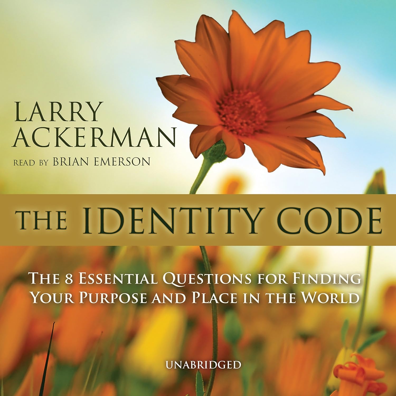 Amazon.com: The Identity Code: The Eight Essential Questions for ...