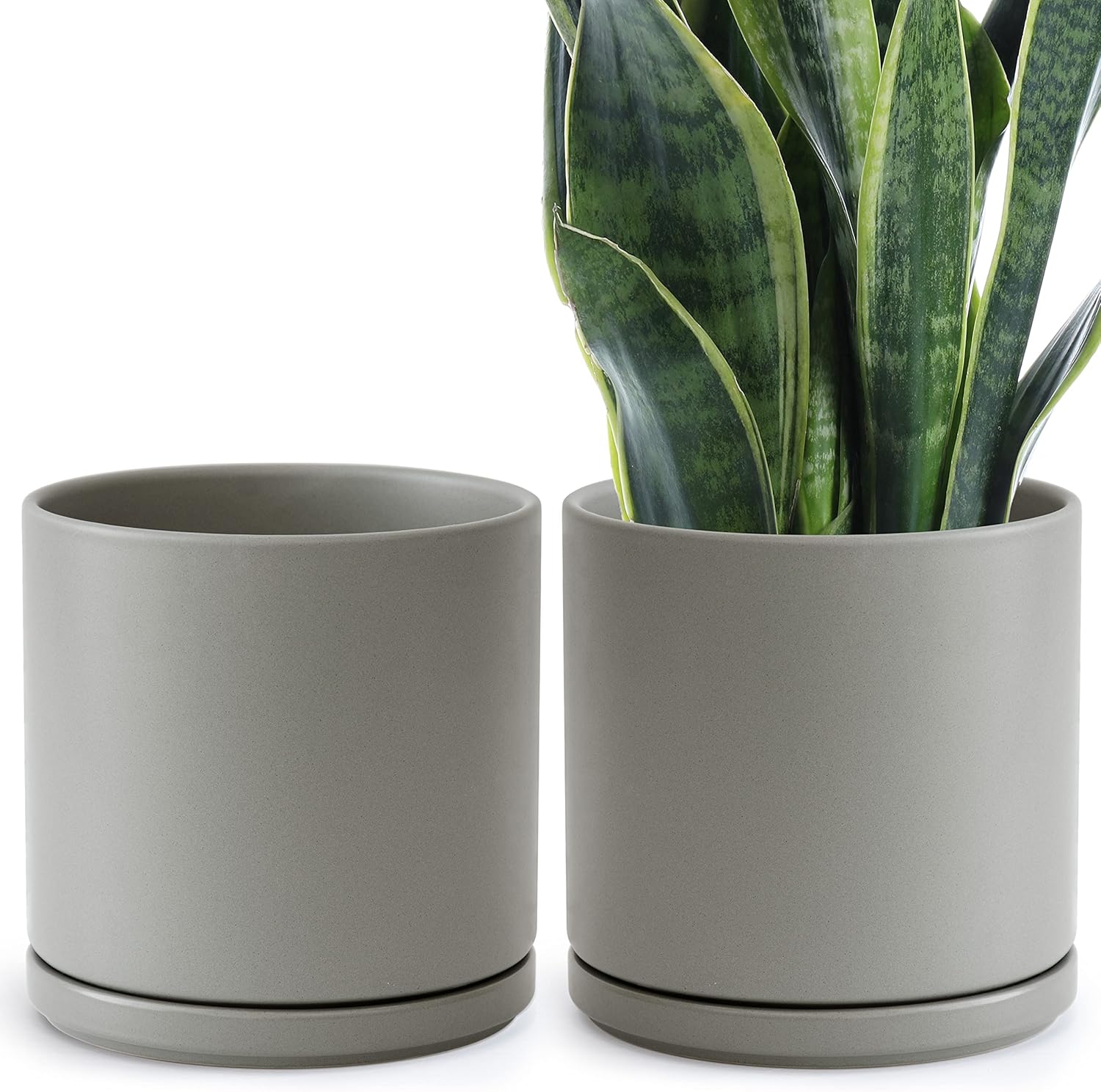 Amazon.com : D'vine Dev Set of 2 Plants Pots, 10 Inch Ceramic Planter ...