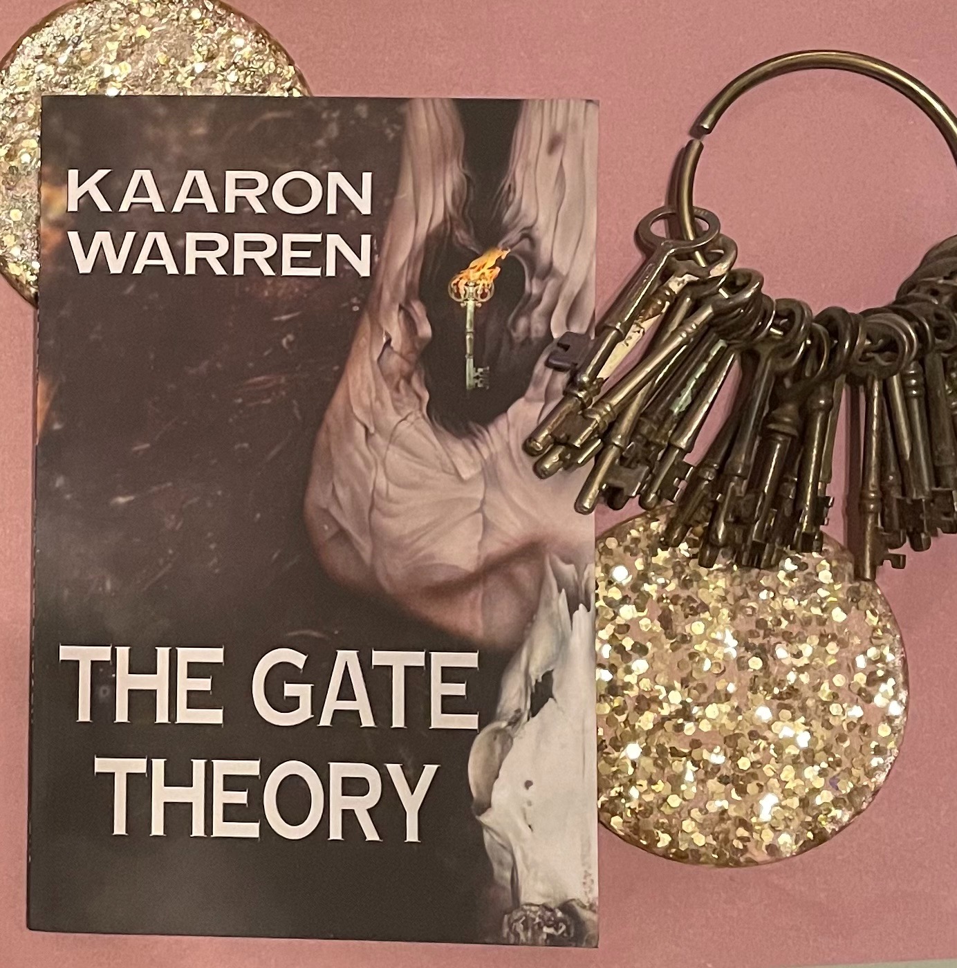 The Gate Theory: Warren, Kaaron: 9781925496239: Amazon.com: Books