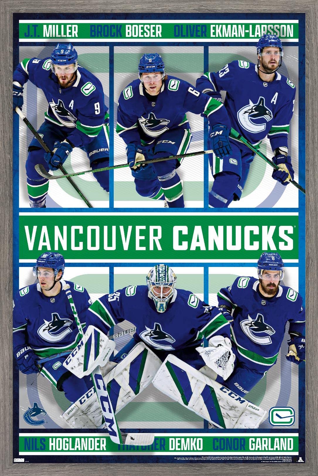 Vancouver Canucks Team