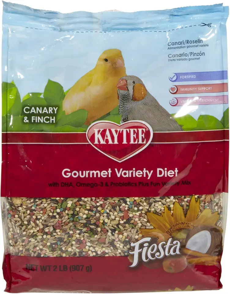 The True Cost Of Owning A Canary: Factors To Consider | PetShun