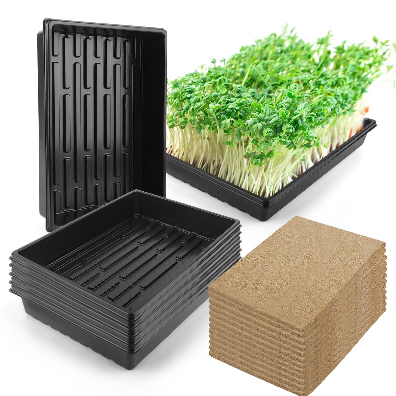 Amazon.com : 6Pack Microgreens Growing Trays with 12Pcs Plant Hemp ...