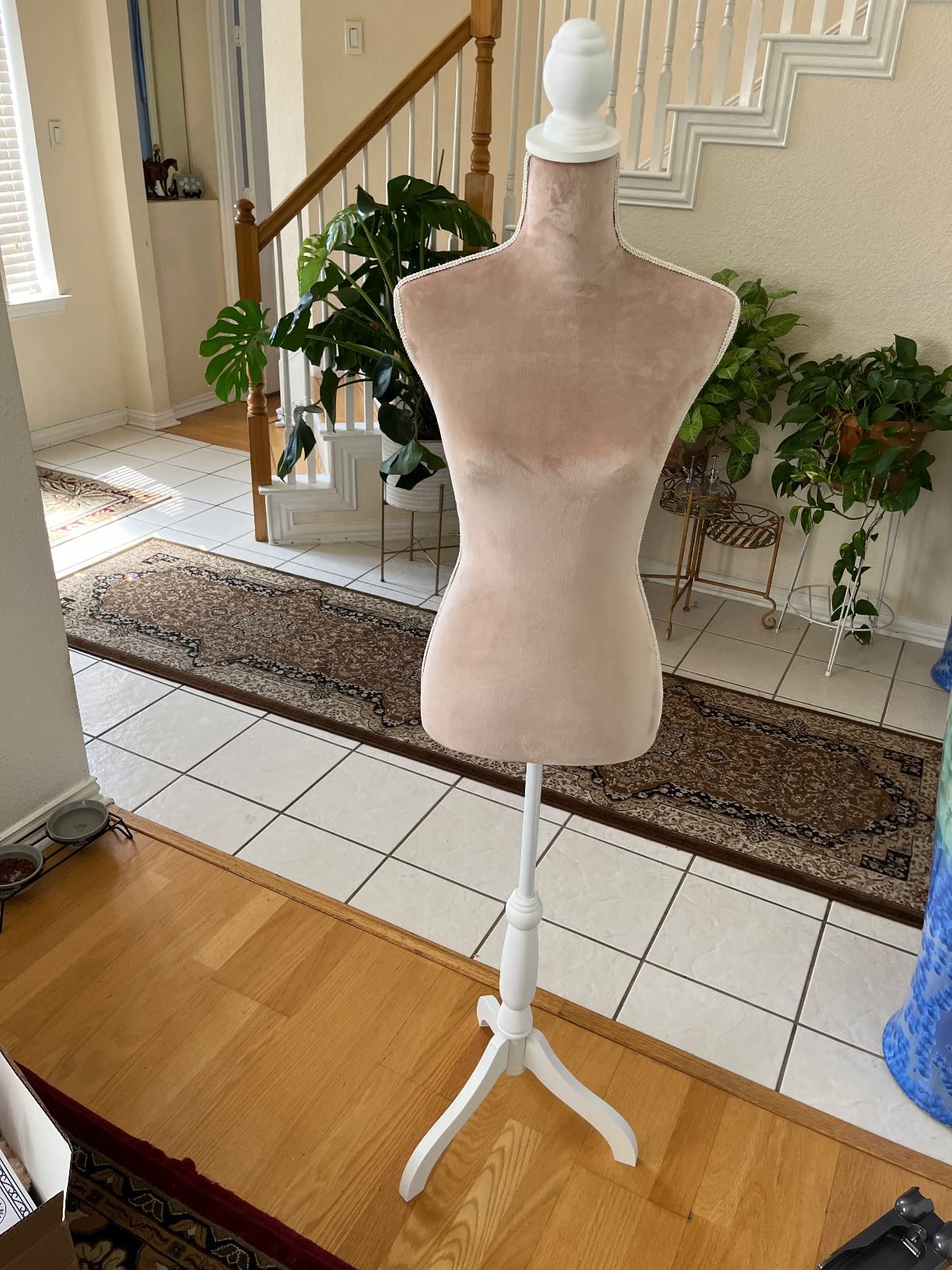 $12/mo - Finance HOMBOUR Dress Form Mannequin Torso, Female Sewing ...