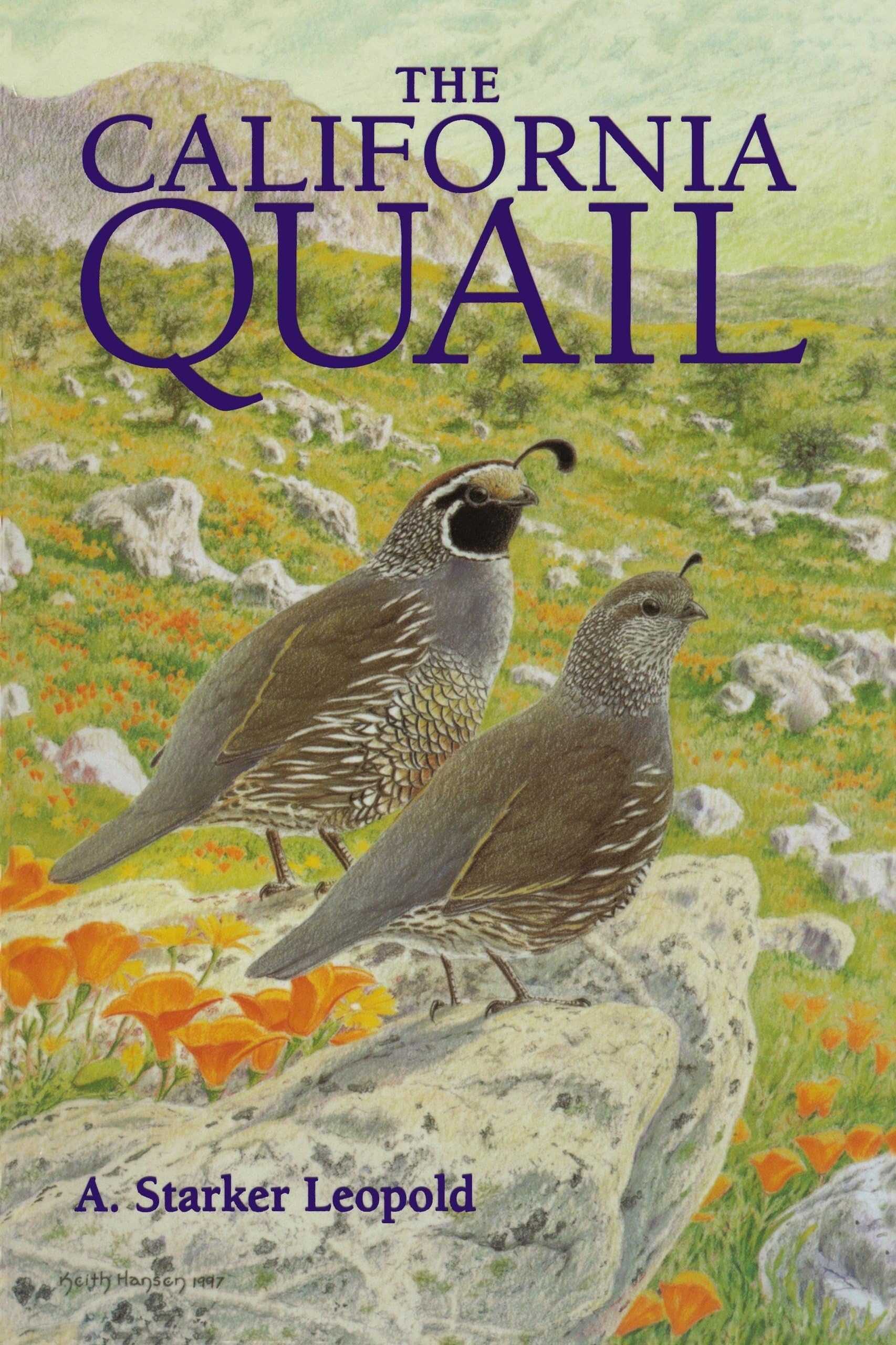 Quinn And Quail Ladies Quail Hunt At Soggy Bottom Lodge: A Unique