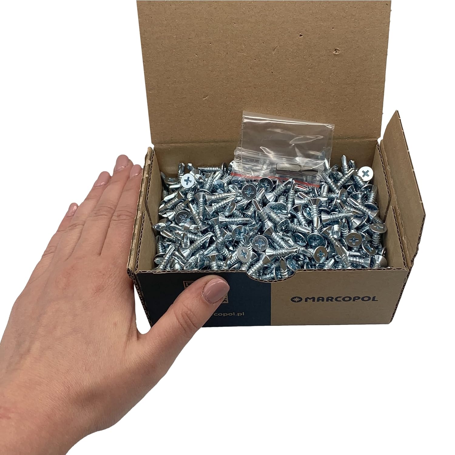(Pack of 700 pcs) DIN 7504 P Zinc Plated Steel 4.8 x 19 mm Screws, Self ...