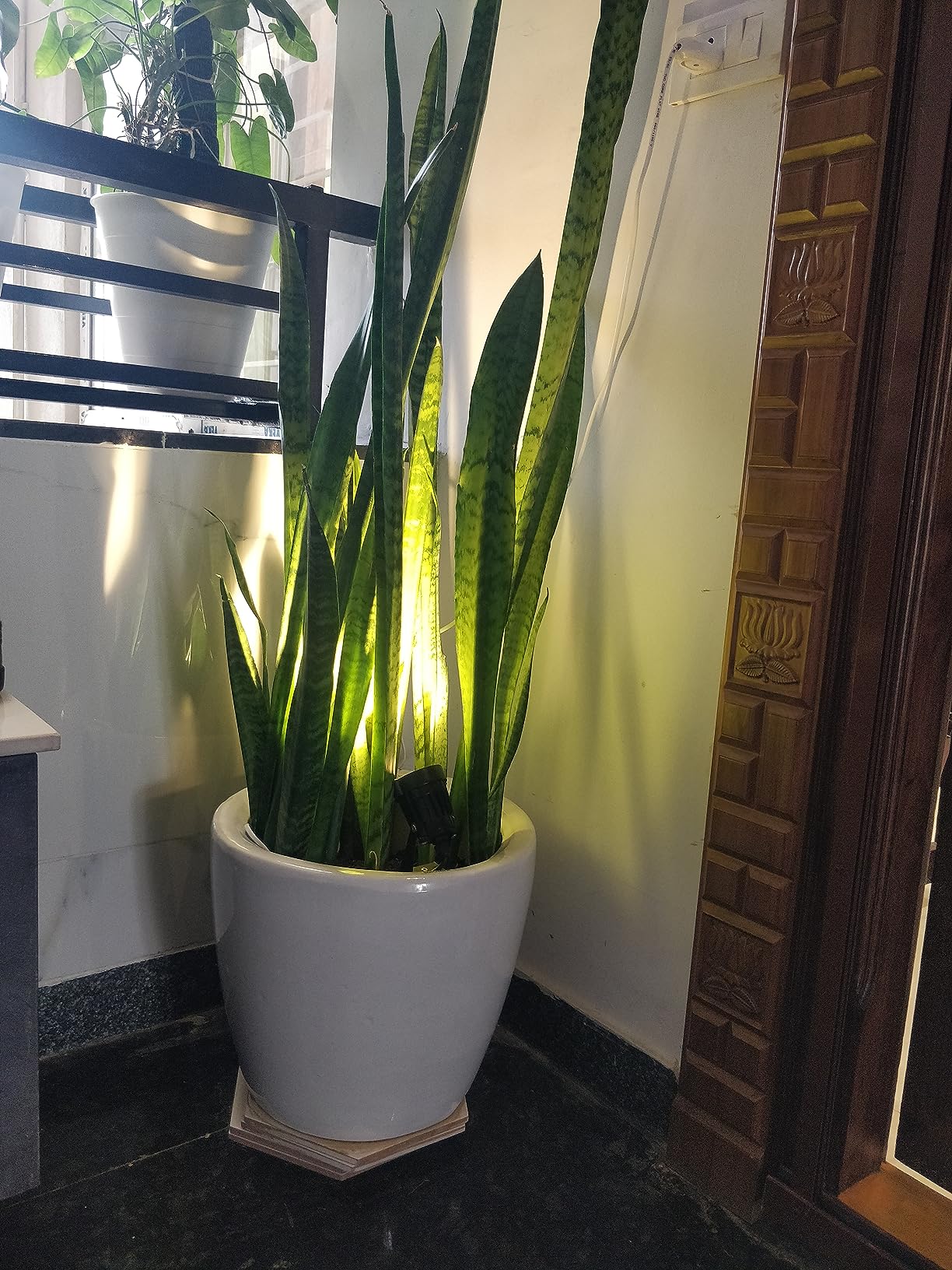 OTS LIGHTS 5W / 6W LED Outdoor Garden Spot and Spike Waterproof IP65 ...