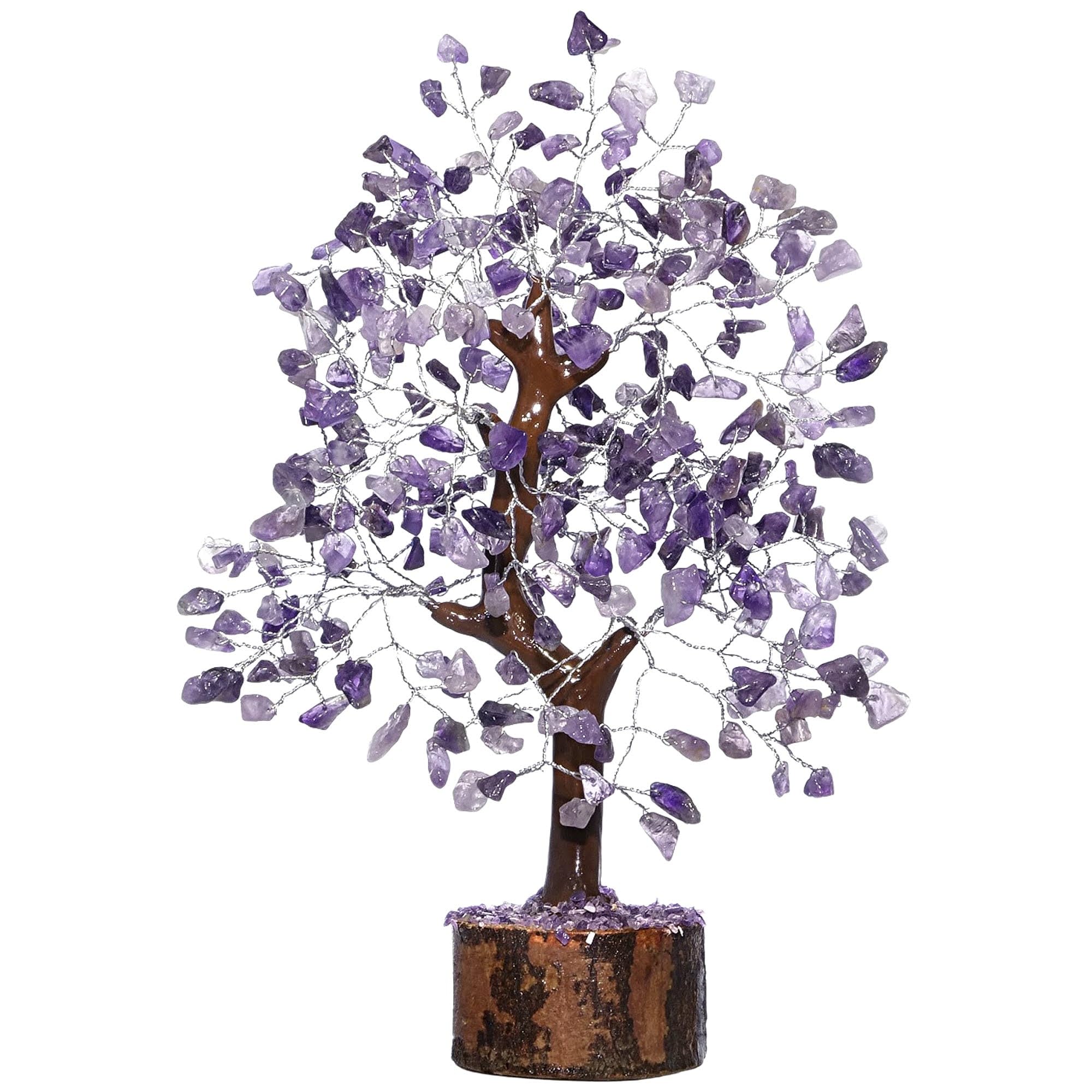 Healing Tree New York Native Trees | SUGi