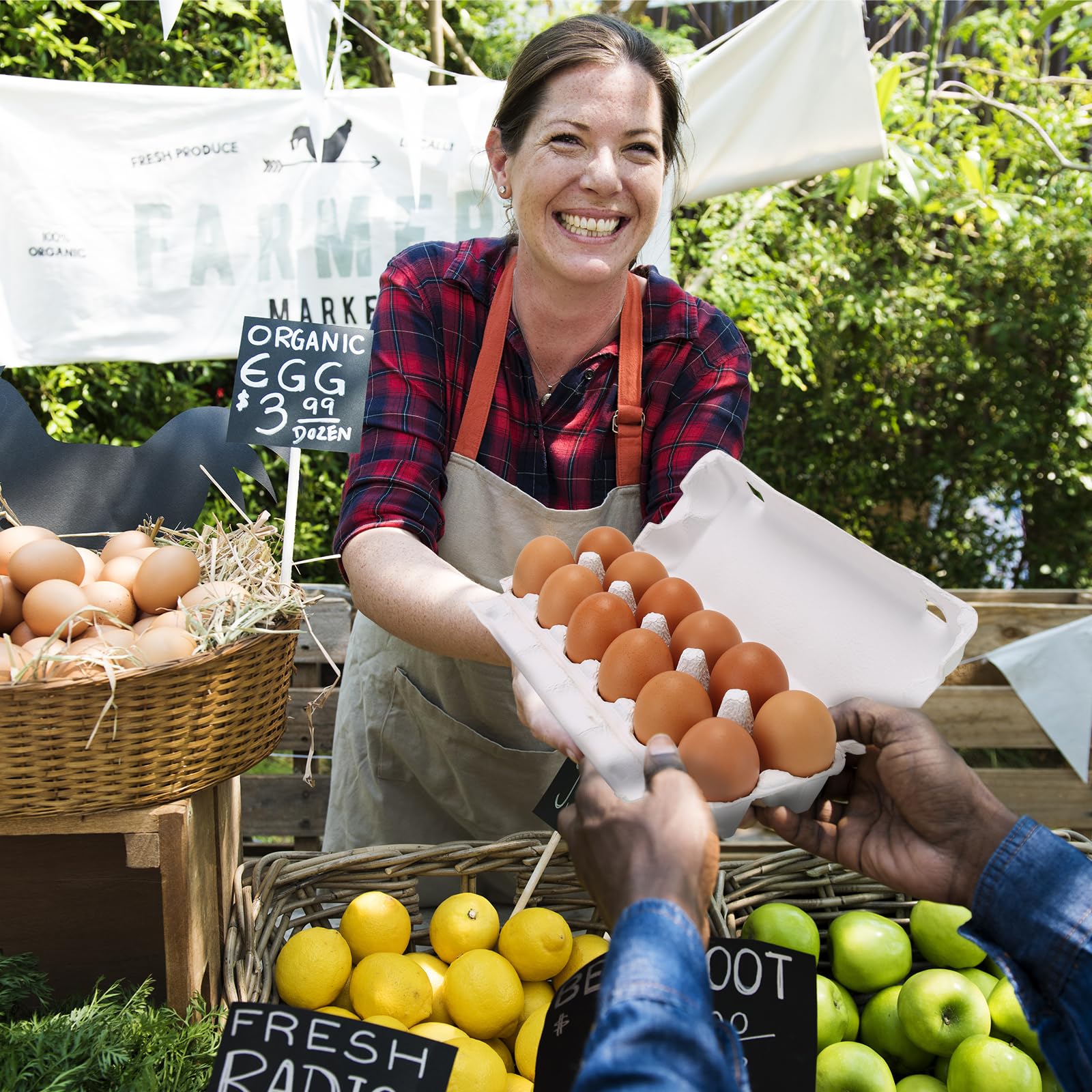 200 Pieces White Cardboard Egg Cartons Blank Paper Pulp Egg Cartons ...