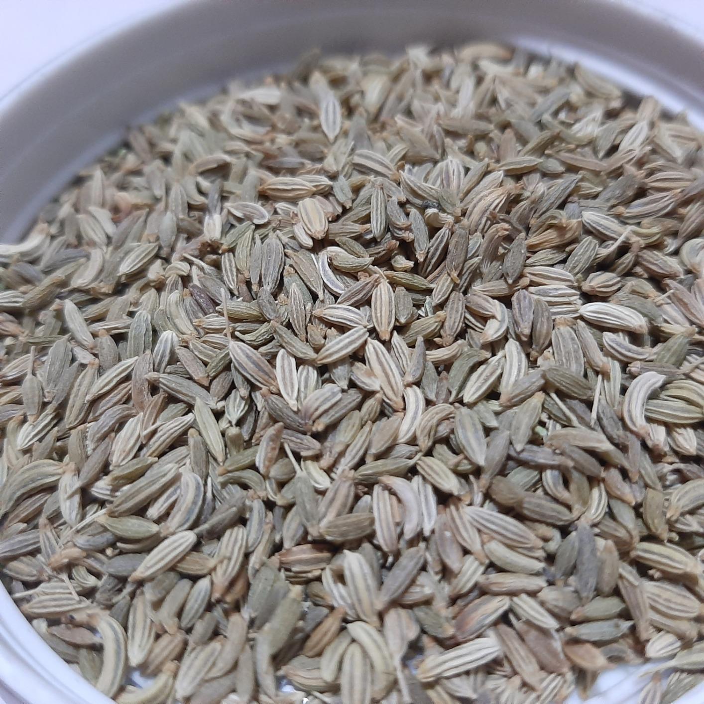 Tulunadu Flavours Variyali Seeds - Fennel Seed (Saunf) 250 Gram ...