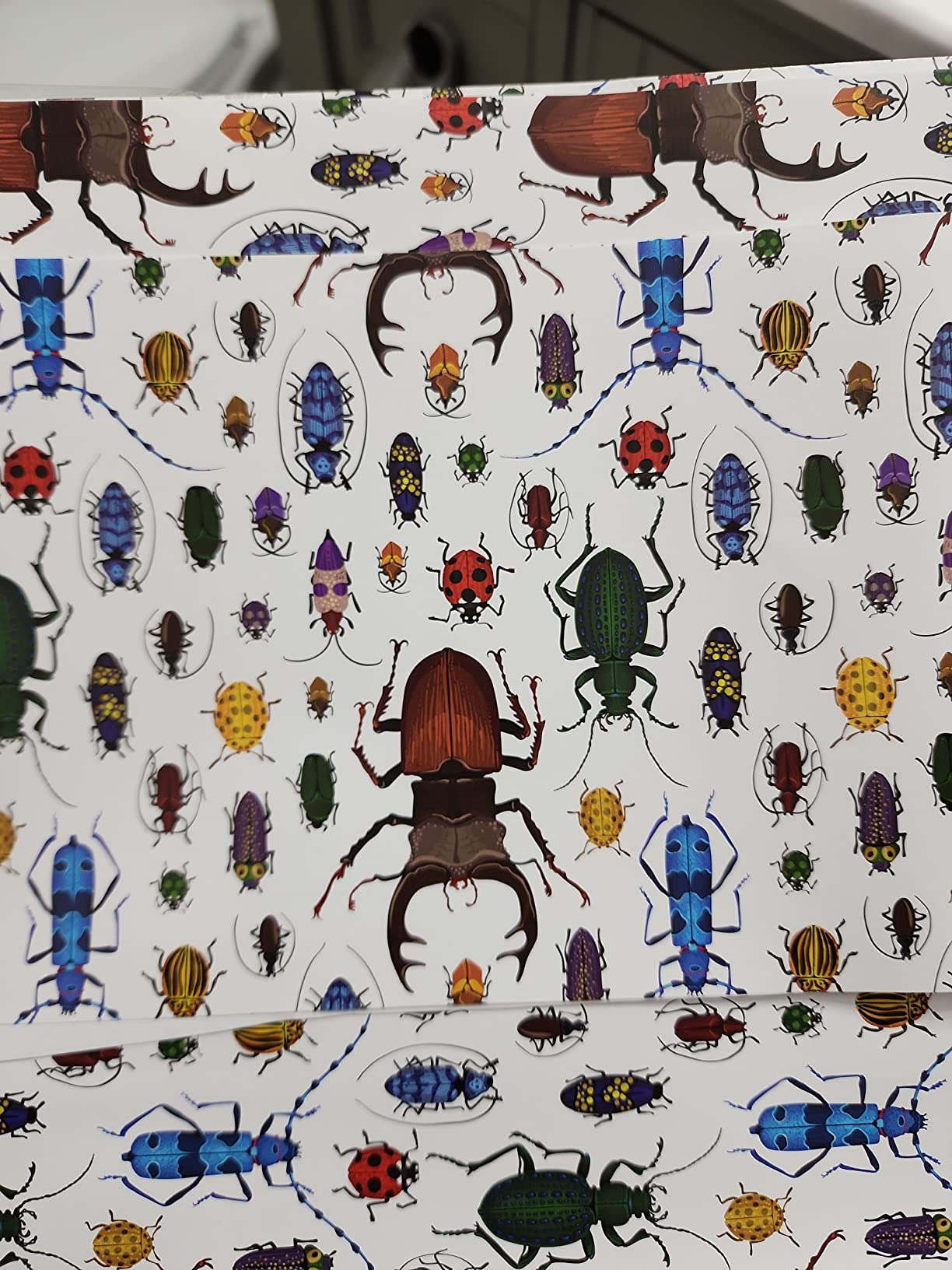 Amazon.com: Stesha Party Insect Gift Wrap, Bug Birthday Present ...
