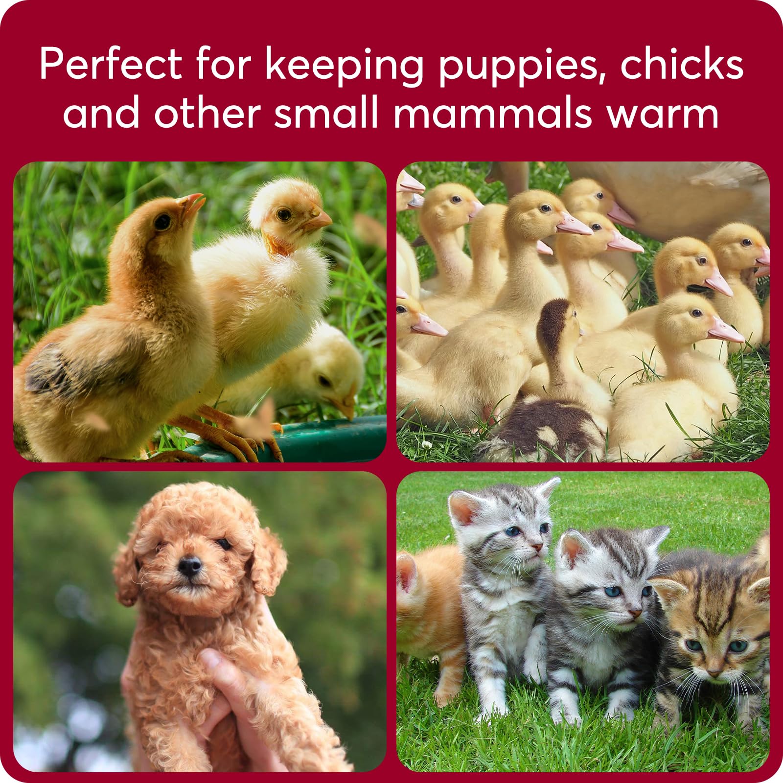 Neviland Infrared Heat Lamp with 250W Heat Bulb High/Low Switch ...