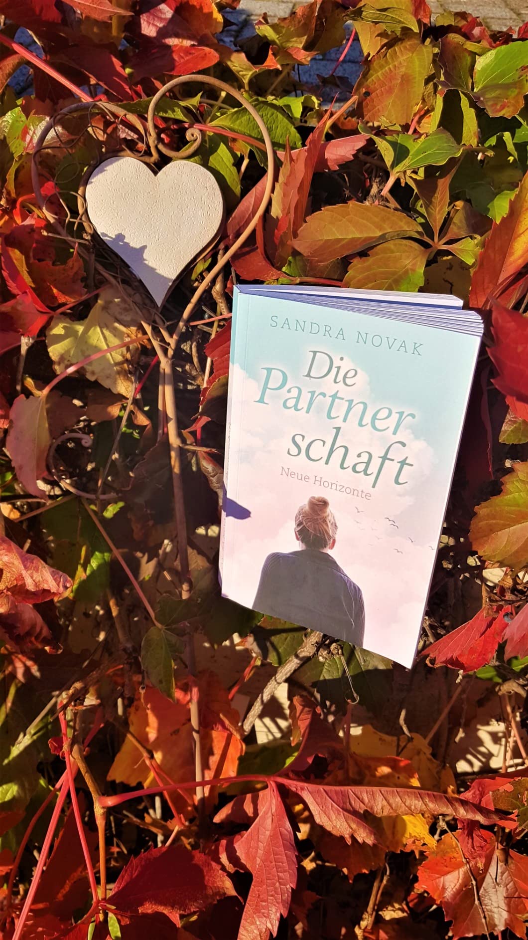 Die Partnerschaft: Neue Horizonte : Sandra Novak: Amazon.de: Bücher