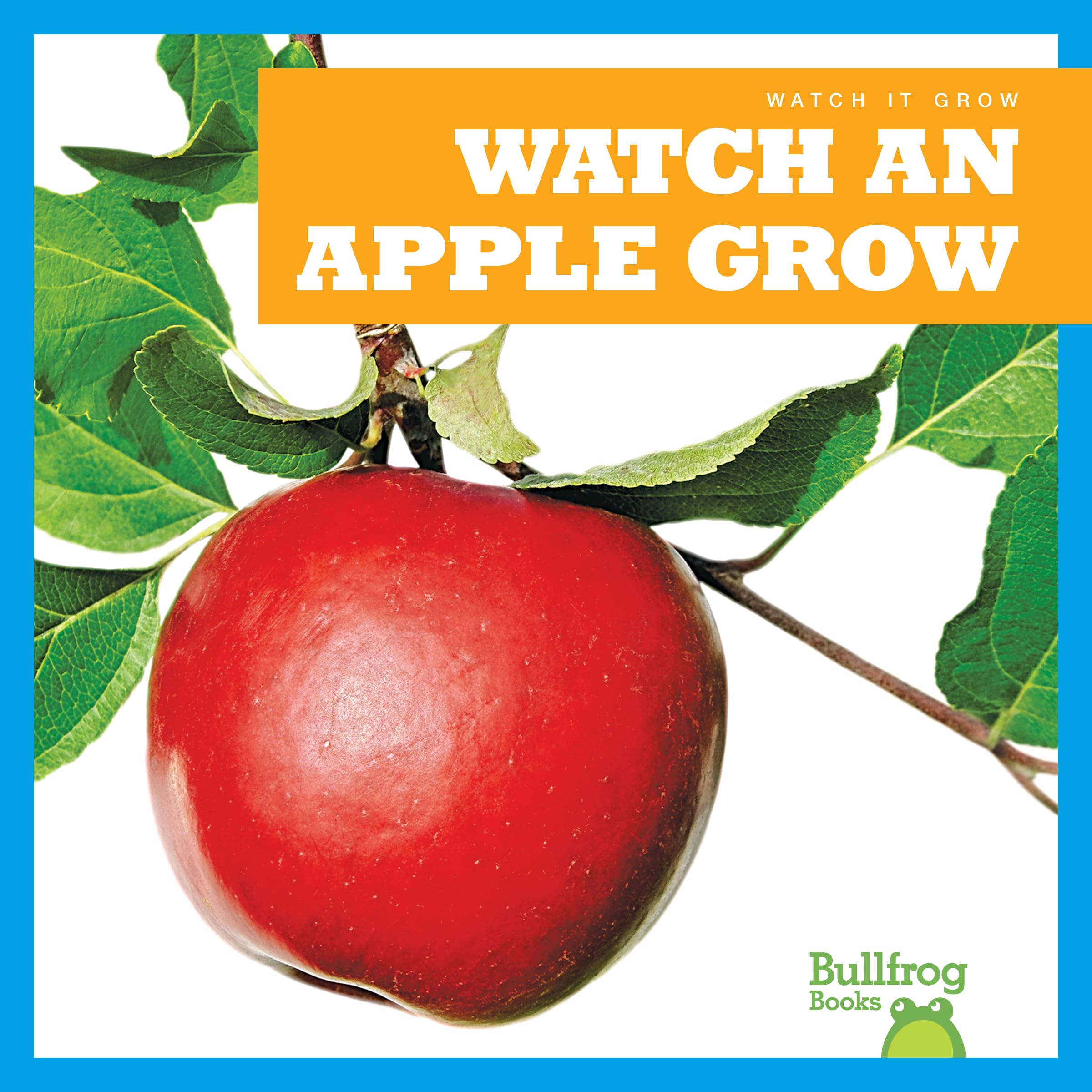 Watch an Apple Grow (Bullfrog Books: Watch It Grow): Kirsten Chang ...