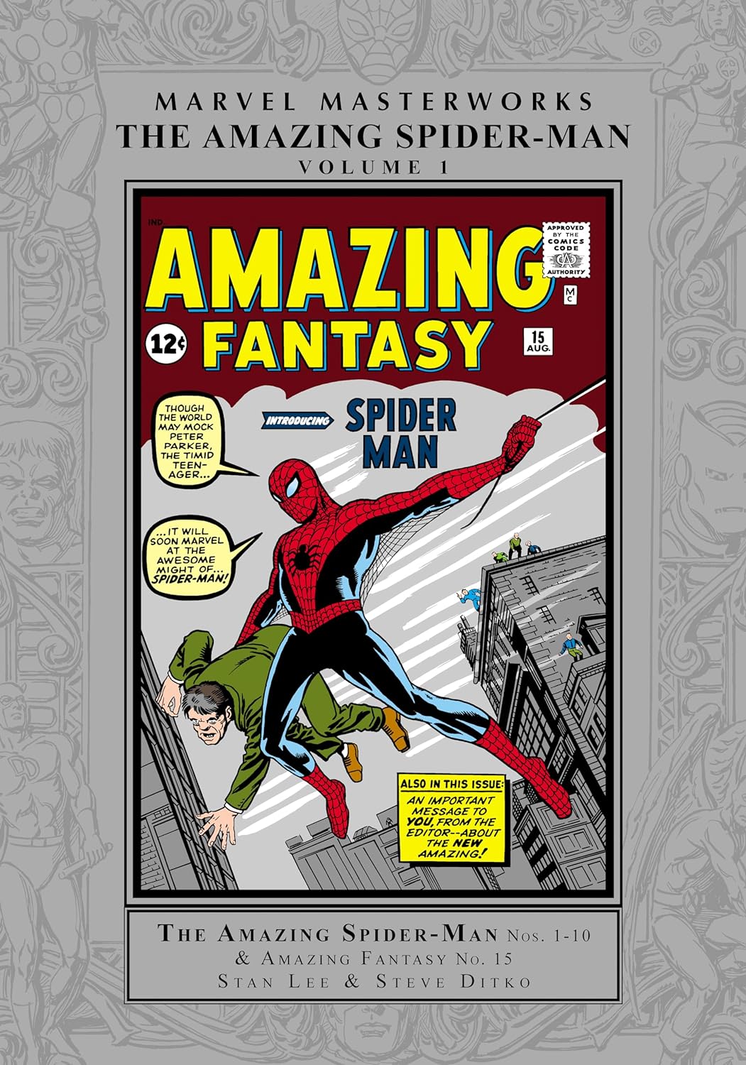 Amazon.com: Marvel Masterworks: The Amazing Spider-Man Vol. 1: ...