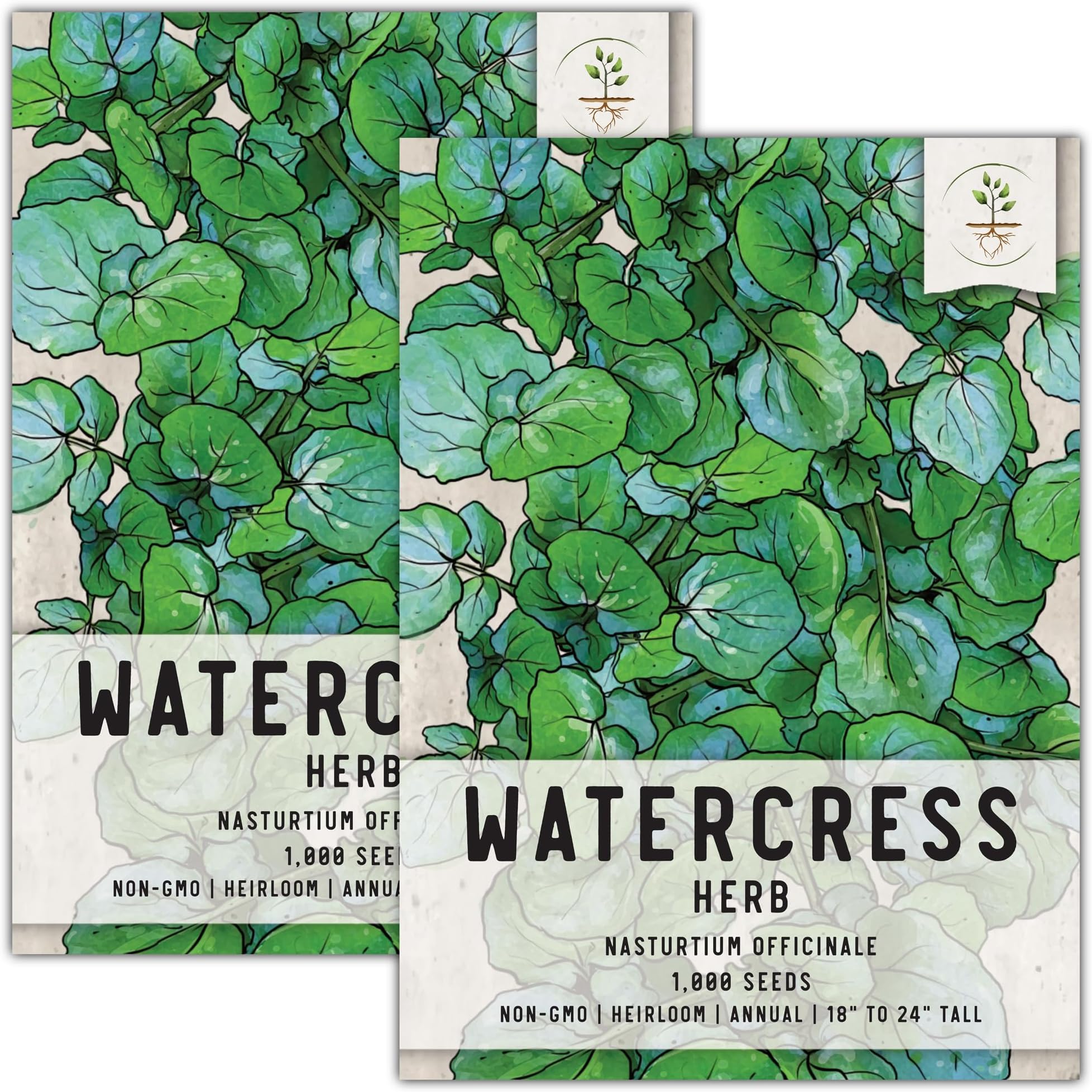 Amazon.com : 5000 Crab Claw Seeds - Rau Cang Cua - Herb Peperomia ...