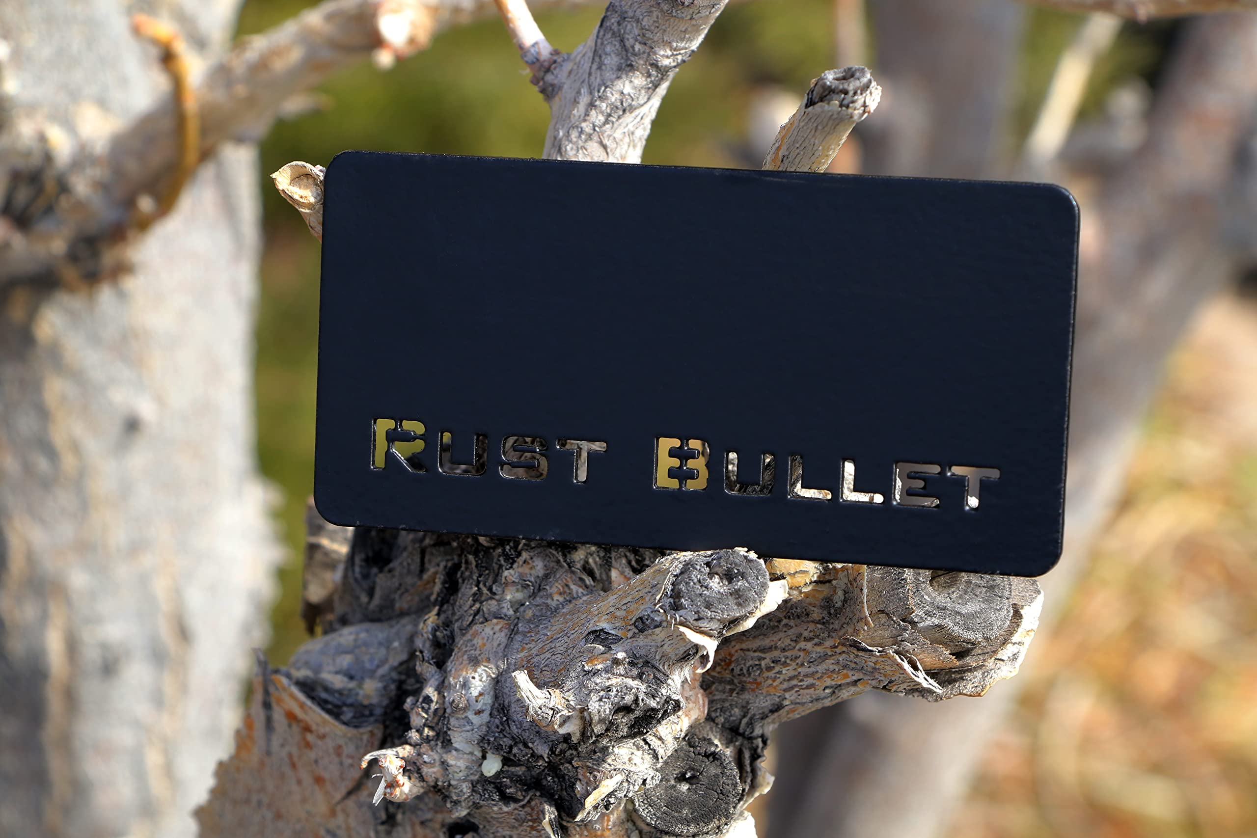 Snapklik.com : RUST BULLET BlackShell - Matte Black - 1 Quart ...