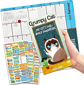 Amazon.com: Grumpy Cat Calendar 2025 - Deluxe 2025-2026 Grumpy Cat ...