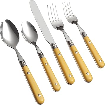 Amazon.com | Ginkgo International Le Prix 20-Piece Stainless Steel ...