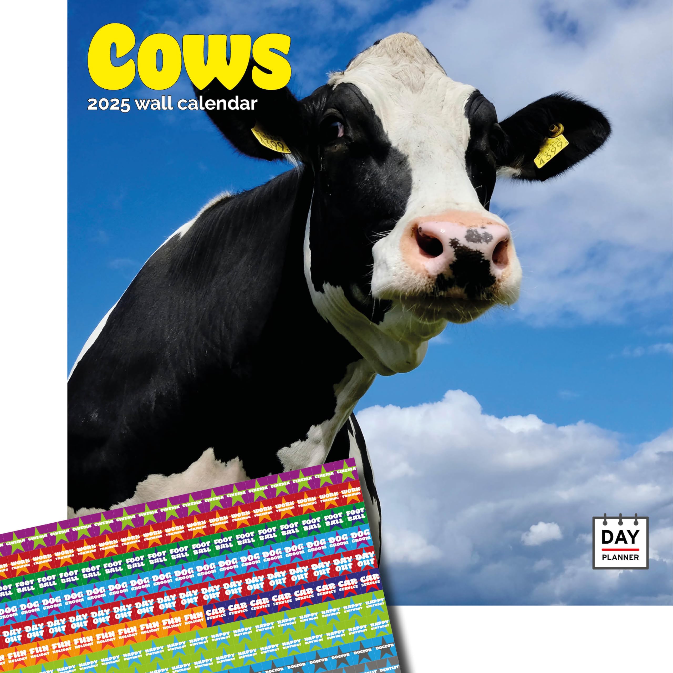 Dayplanner Publishing Cows Calendar 2025, Large Square Wall Calendar ...