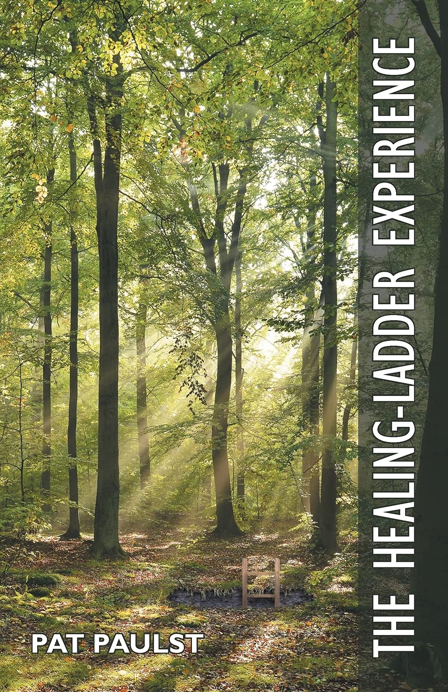 The Healing-Ladder Experience: Paulst, Pat: 9781664232730: Amazon.com ...