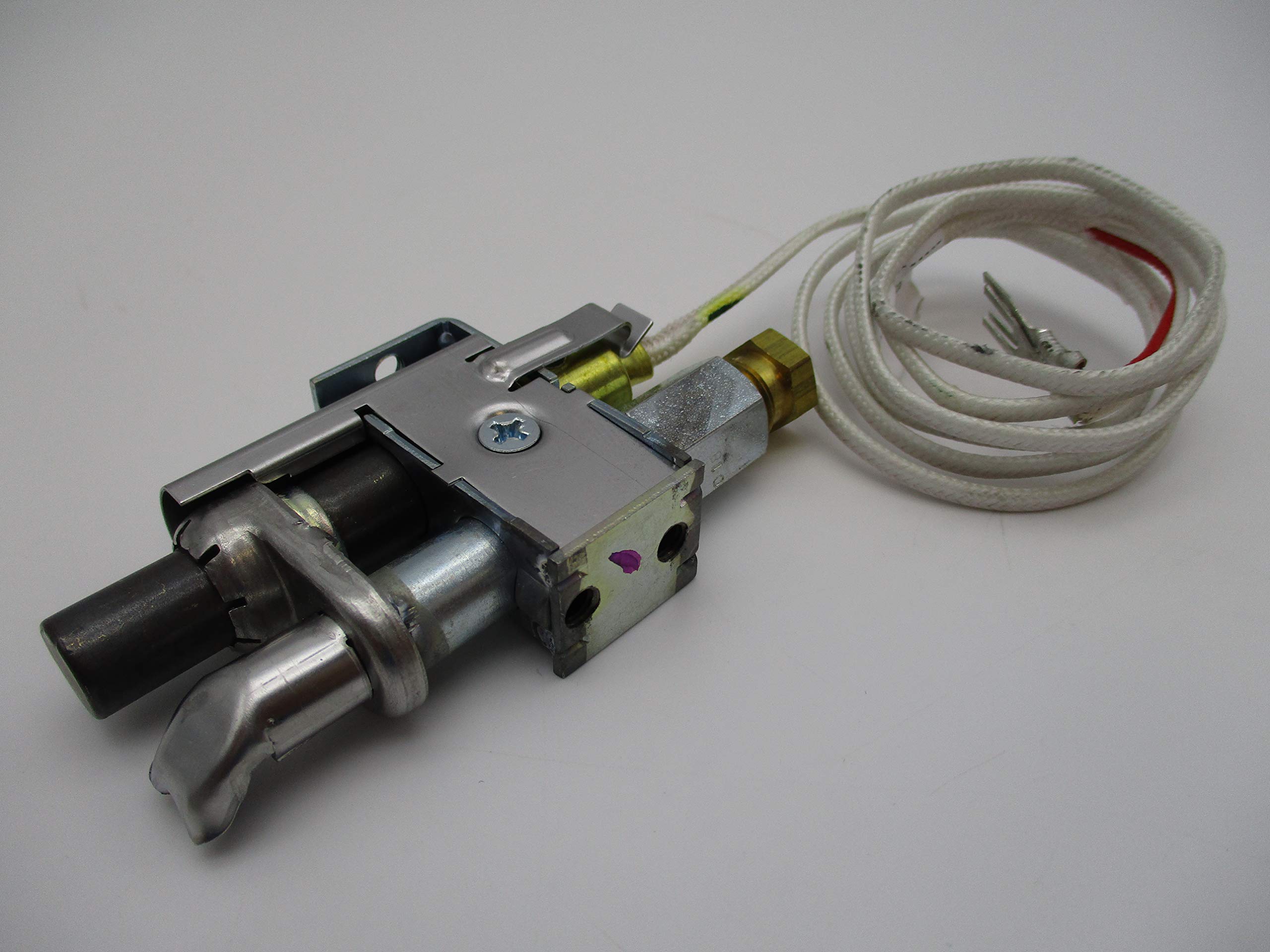 Amazon.com: P501617 Williams Pilot Assembly OEM P501617 : Home & Kitchen