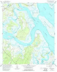 Amazon.com: YellowMaps Spring Island SC topo map, 1:24000 Scale, 7.5 X ...