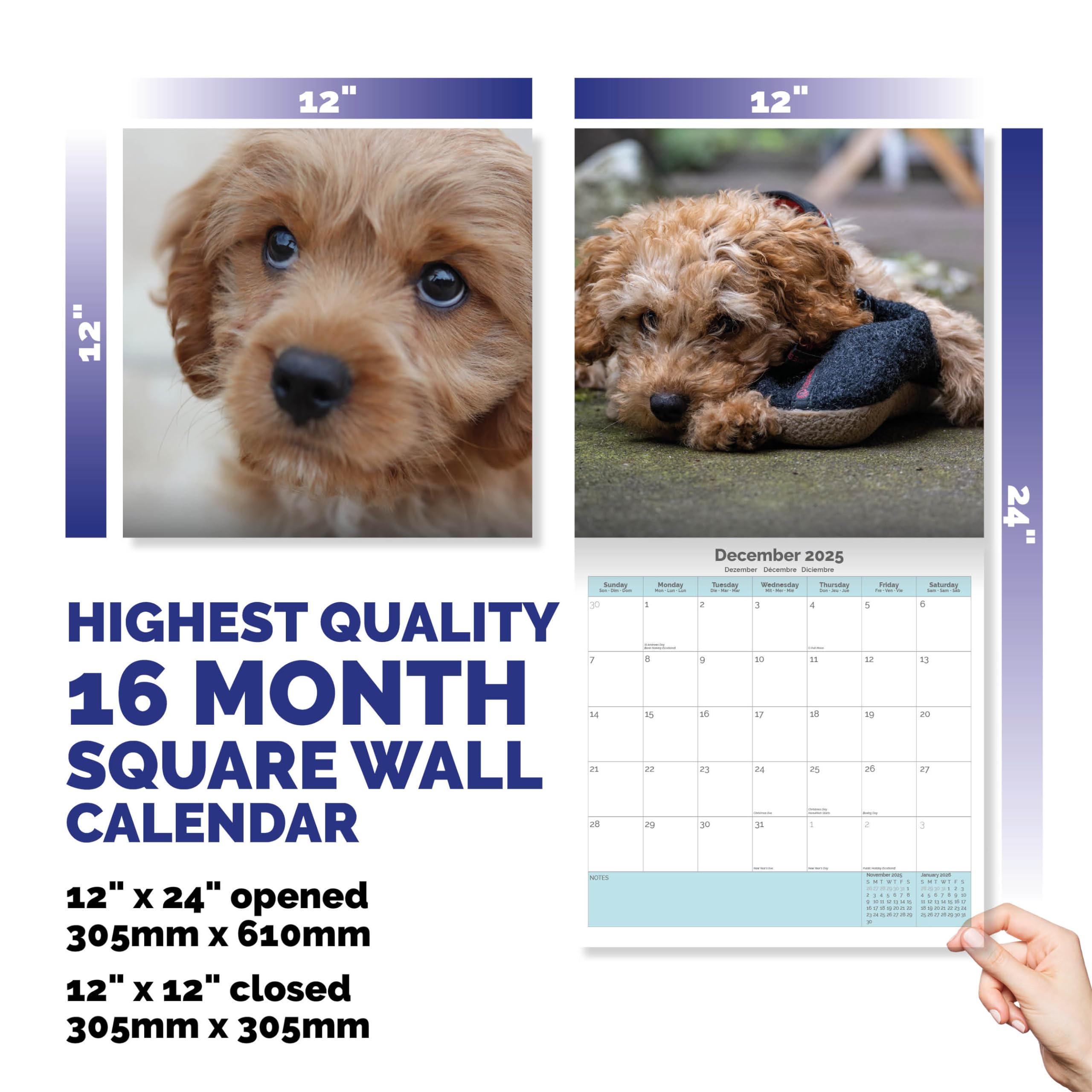 Baker and Bray Cockapoo Puppies Calendar 2025, Large Square Wall ...