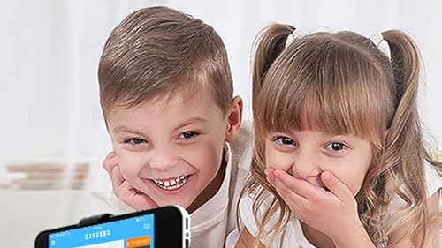 AtHome Video Streamer - Remote video surveillance, Home security ...