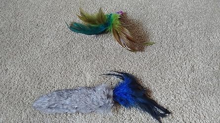 Amazon.com : GoCat Da Fur Thing Cat Toy, Rabbit Fur and Feather Toy ...