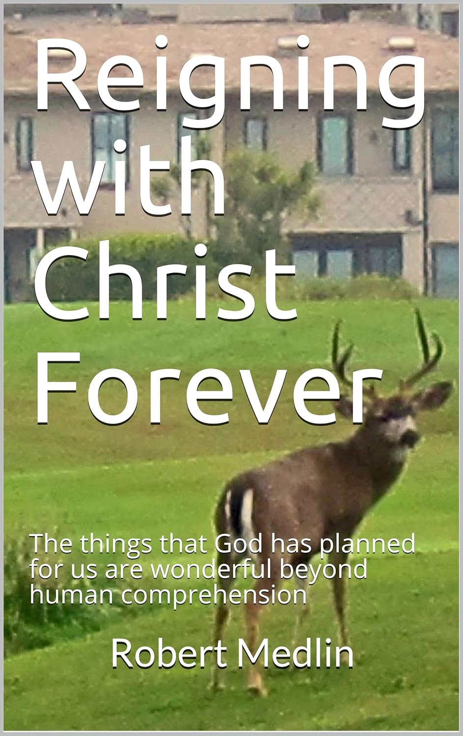 Reigning with Christ Forever: The things that God has planned for us ...
