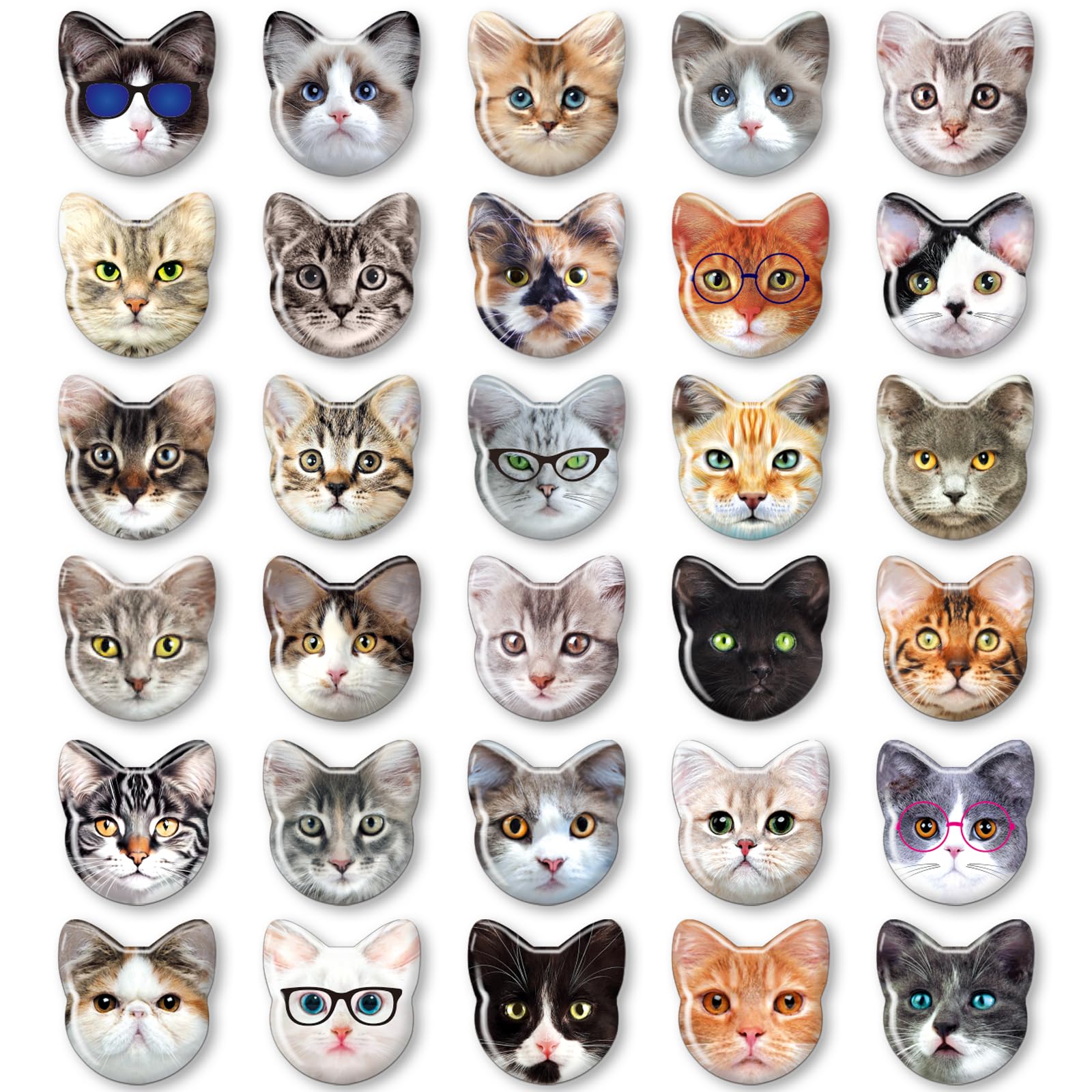 Amazon.com: MORCART Cat Magnets for Fridge, Cute Magnets for ...