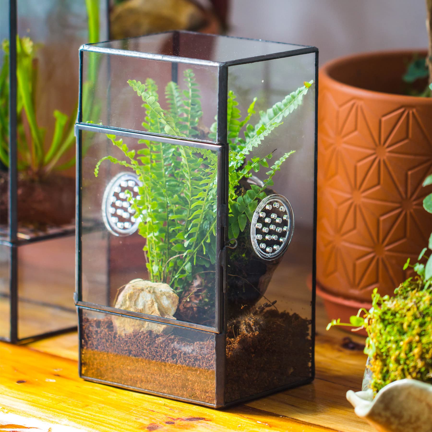 NCYP Glass Terrarium with Door and Three Vent Holes for Large Jumping ...