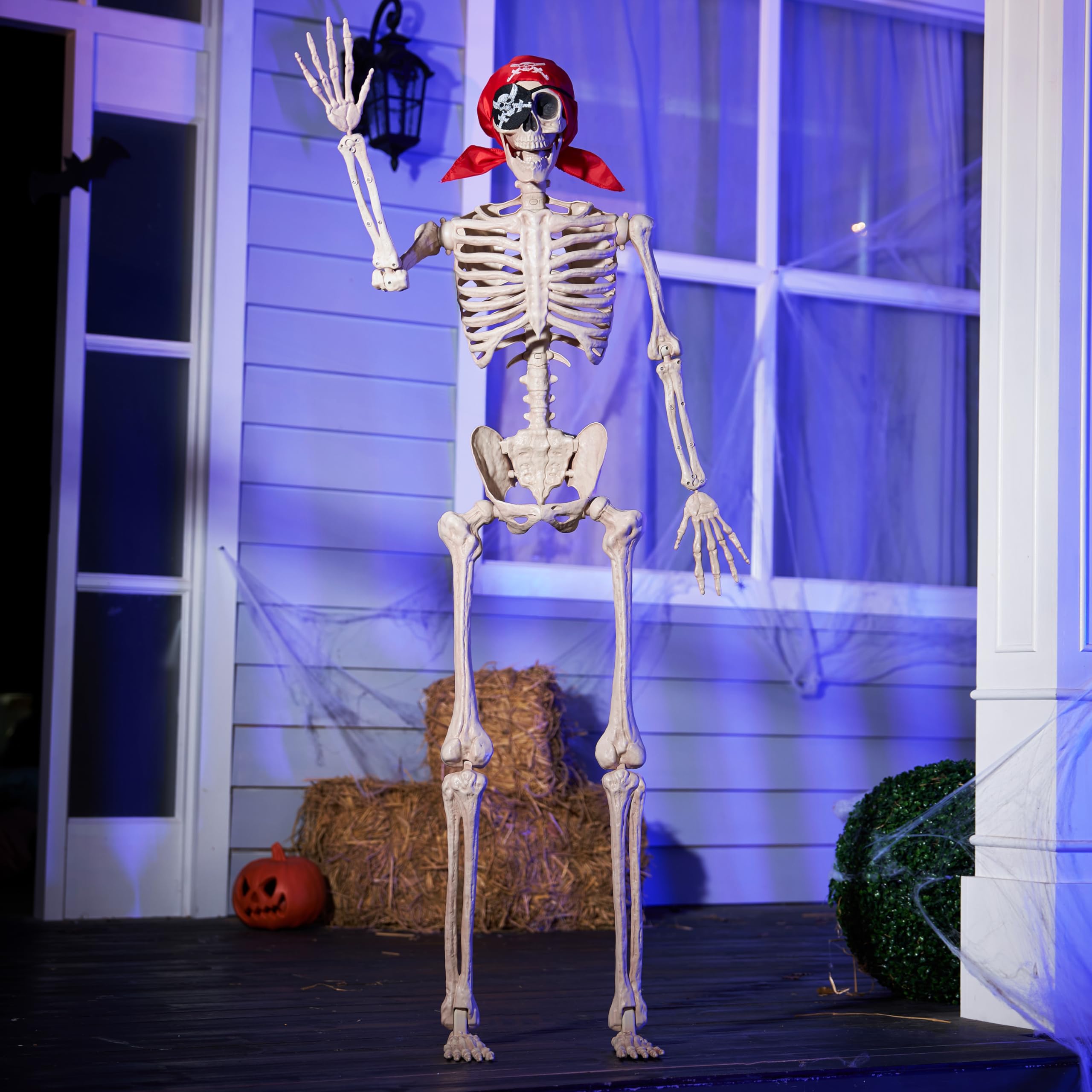 Snapklik.com : JOYIN 5 FT Halloween Posable Skeleton Life Size, Full ...
