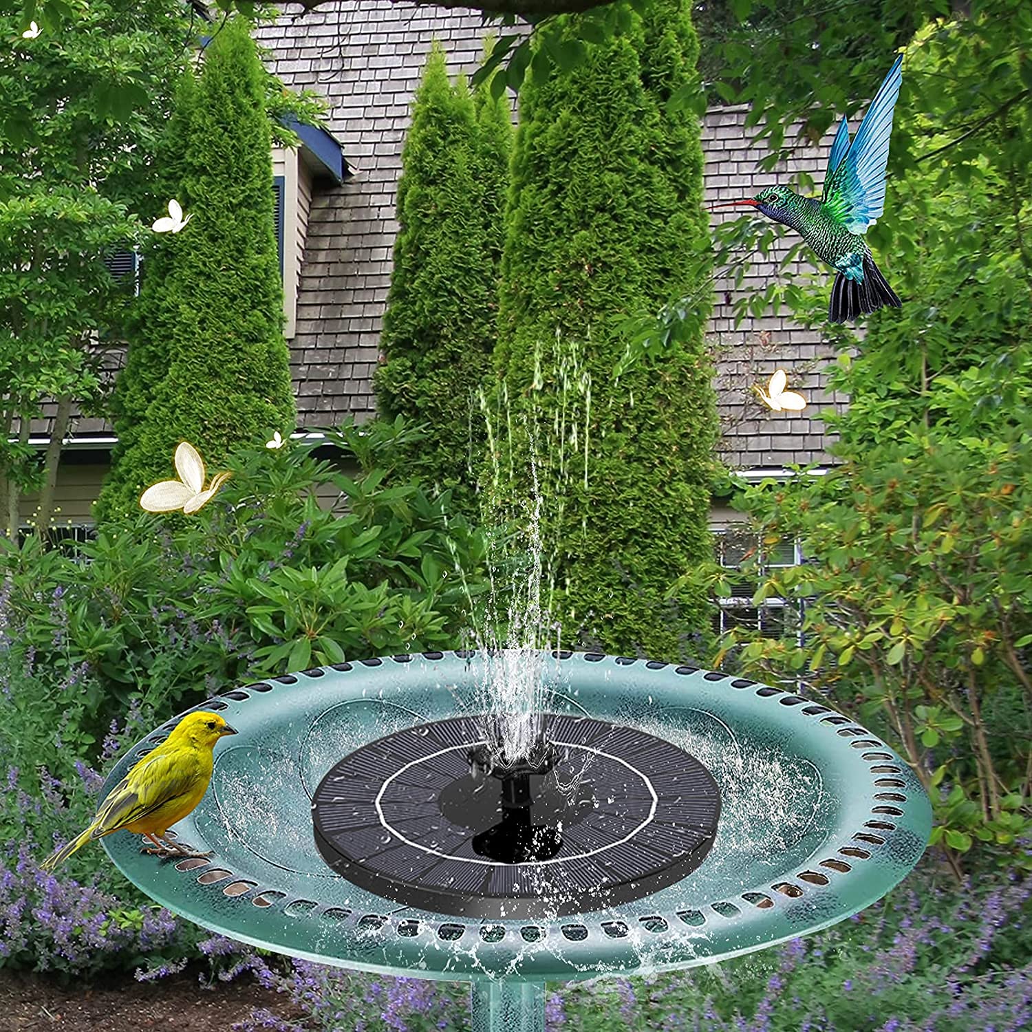 Buy Blastoise Solar Powered Fountain Pump for Bird Bath, 2.5W New Model ...