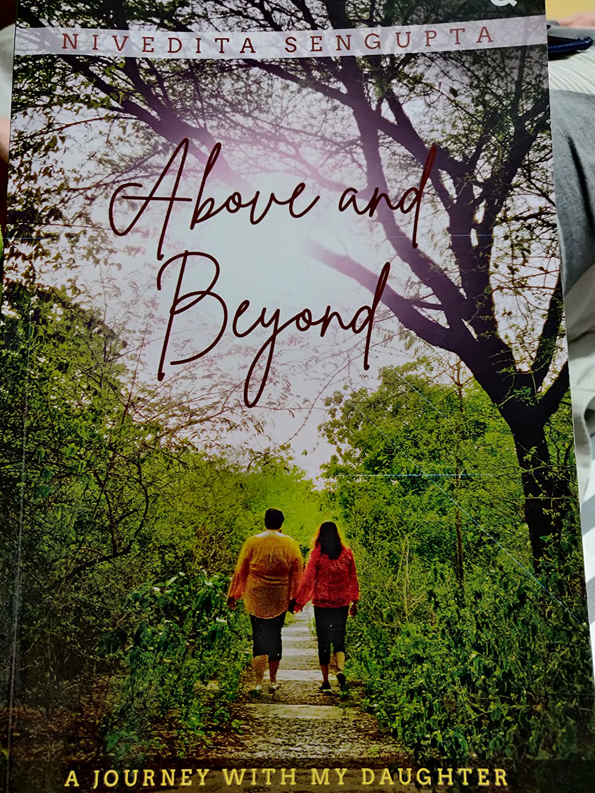 Buy Above and Beyond Book Online at Low Prices in India | Above and ...